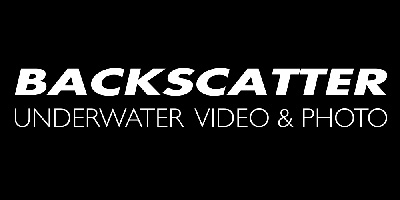 Backscatter | Sharks and Rays